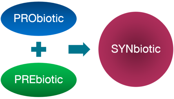 SYNBIO-C, Brand-new Premium Synbiotic Dietary Supplement - GHC